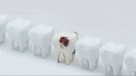 What Are Signs I Need a Tooth Extracted?